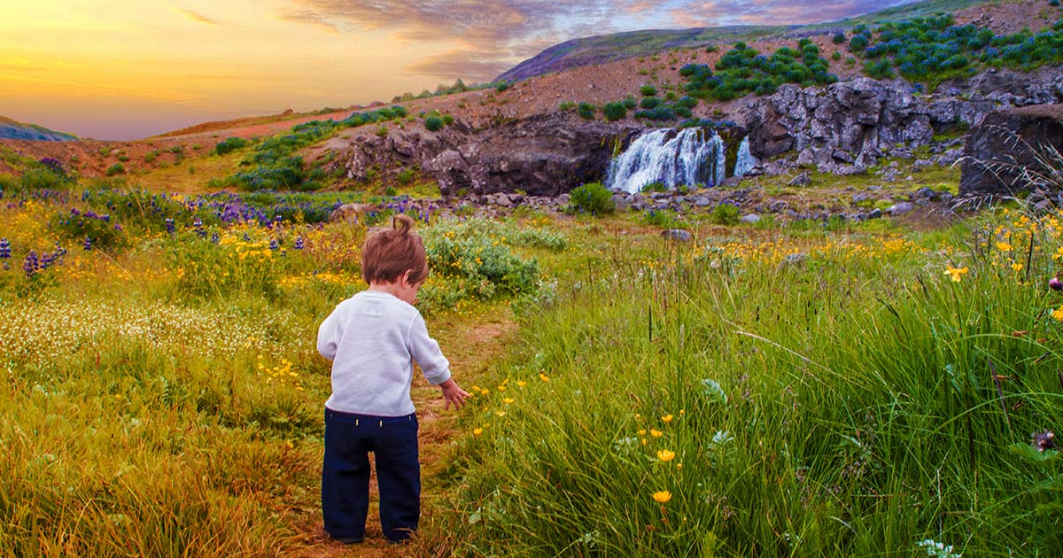 Iceland With Kids Story - Adventure Family Travel - Wandering Wagars