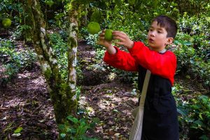 Meet the Wagars - Family Travel Bloggers - Adventure Family Travel ...