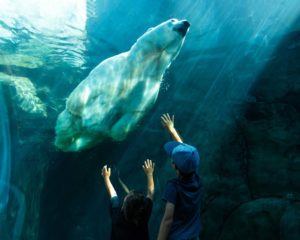 Fun Things To Do In Winnipeg Manitoba This Summer - Adventure Family ...