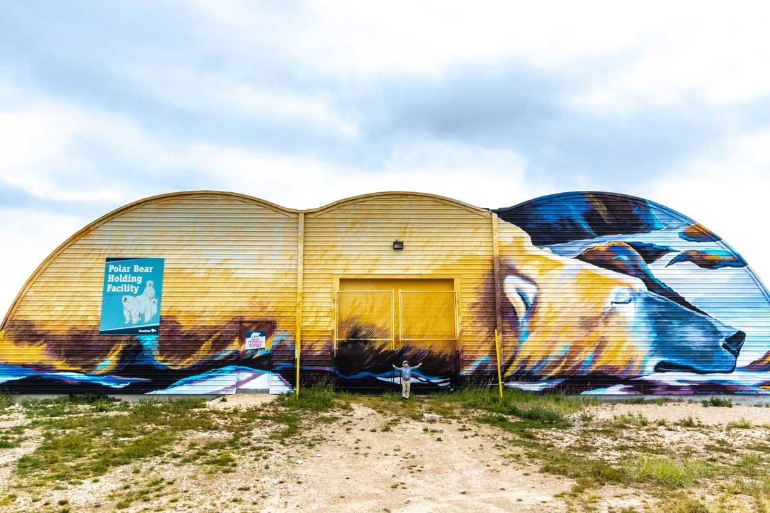 A Complete Guide To Churchill Manitoba: Polar Bears, Belugas and More ...