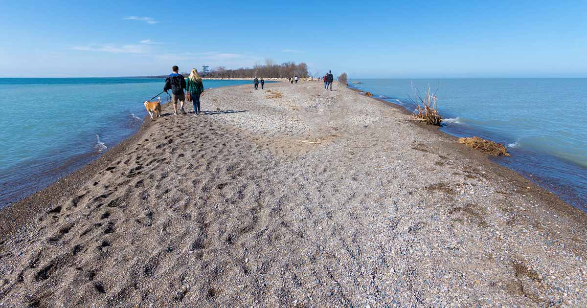 Point Pelee National Park: 5 Reasons to Visit Canada's Southernmost ...